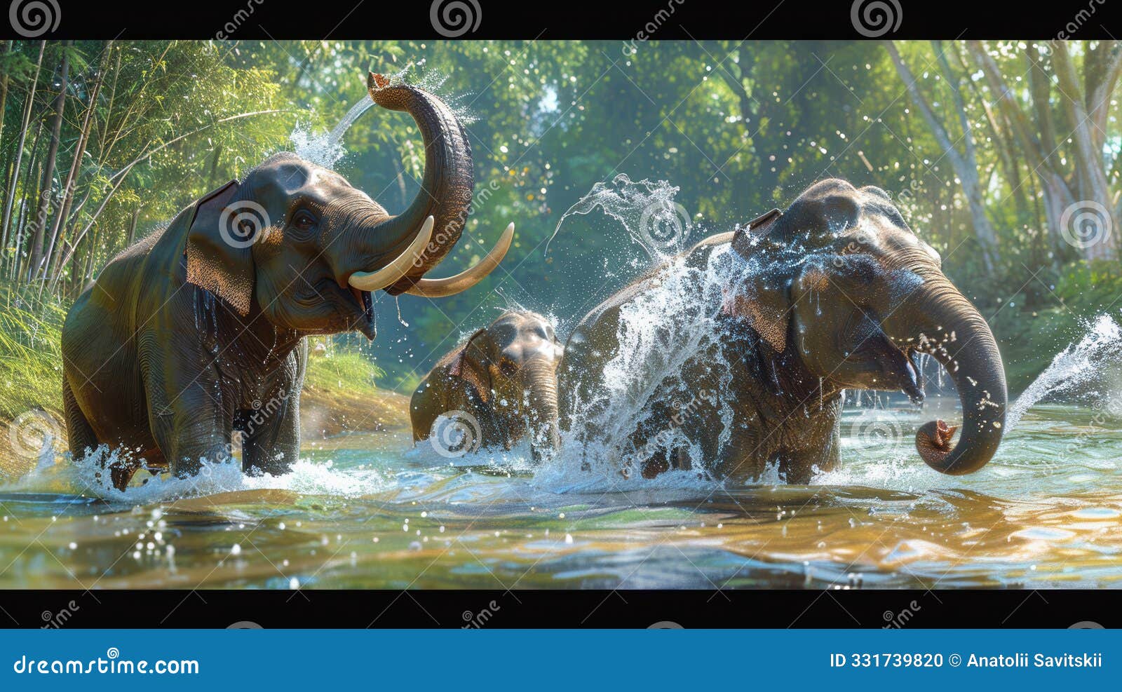 Three Elephants Splash Water Joyfully while Bathing in a Lush Riverside ...