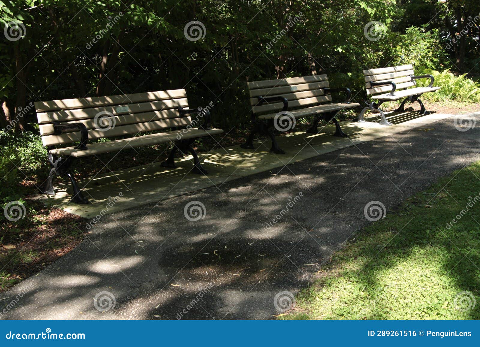 Three Empty Benches in Shade and Sun Next To Path Pathway with Trees ...