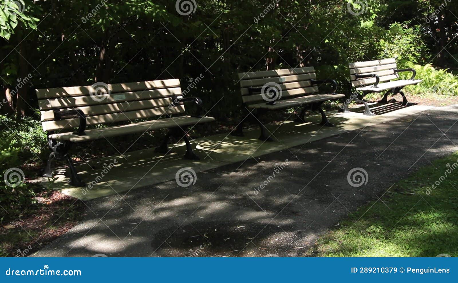 Three Empty Benches in Shade and Sun Next To Path Pathway with Trees ...