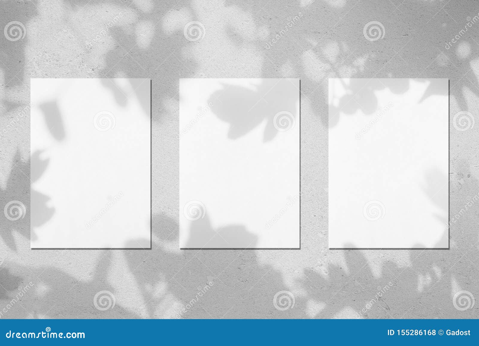 Three Empty White Vertical Rectangle Poster Mockups with Leaves Shadows ...