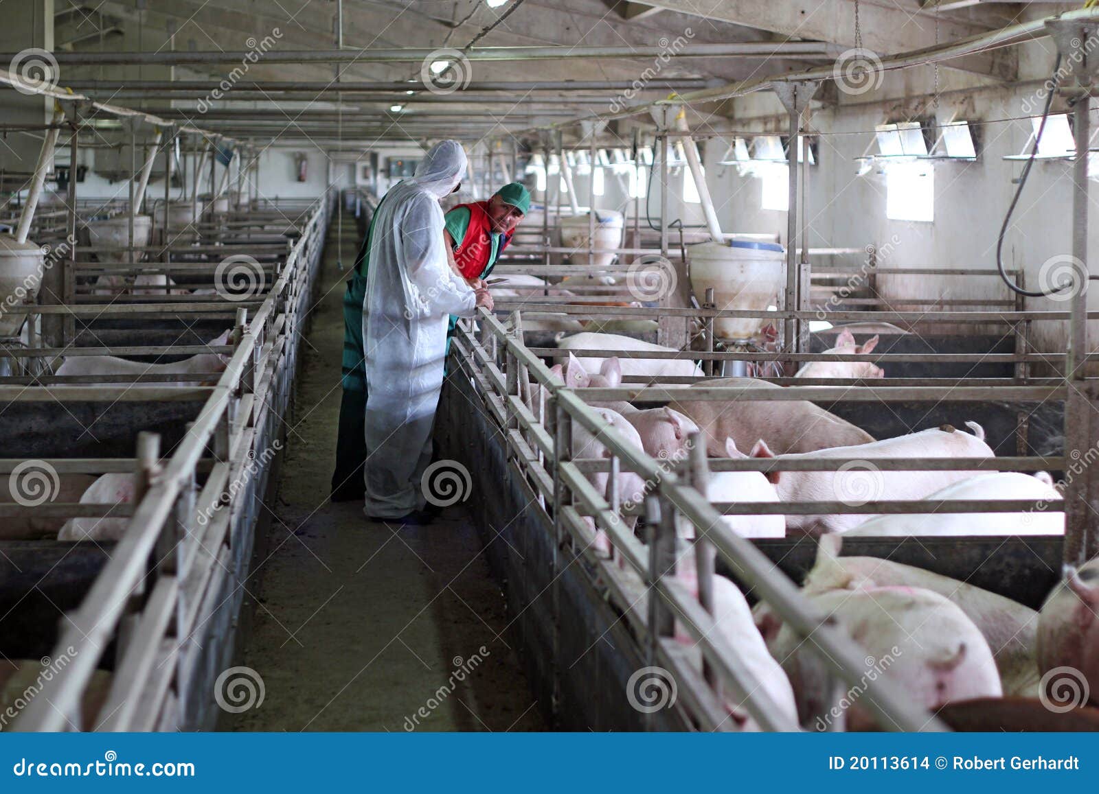 Three Farm Workers stock photo. Image of health, contamination - 20113614