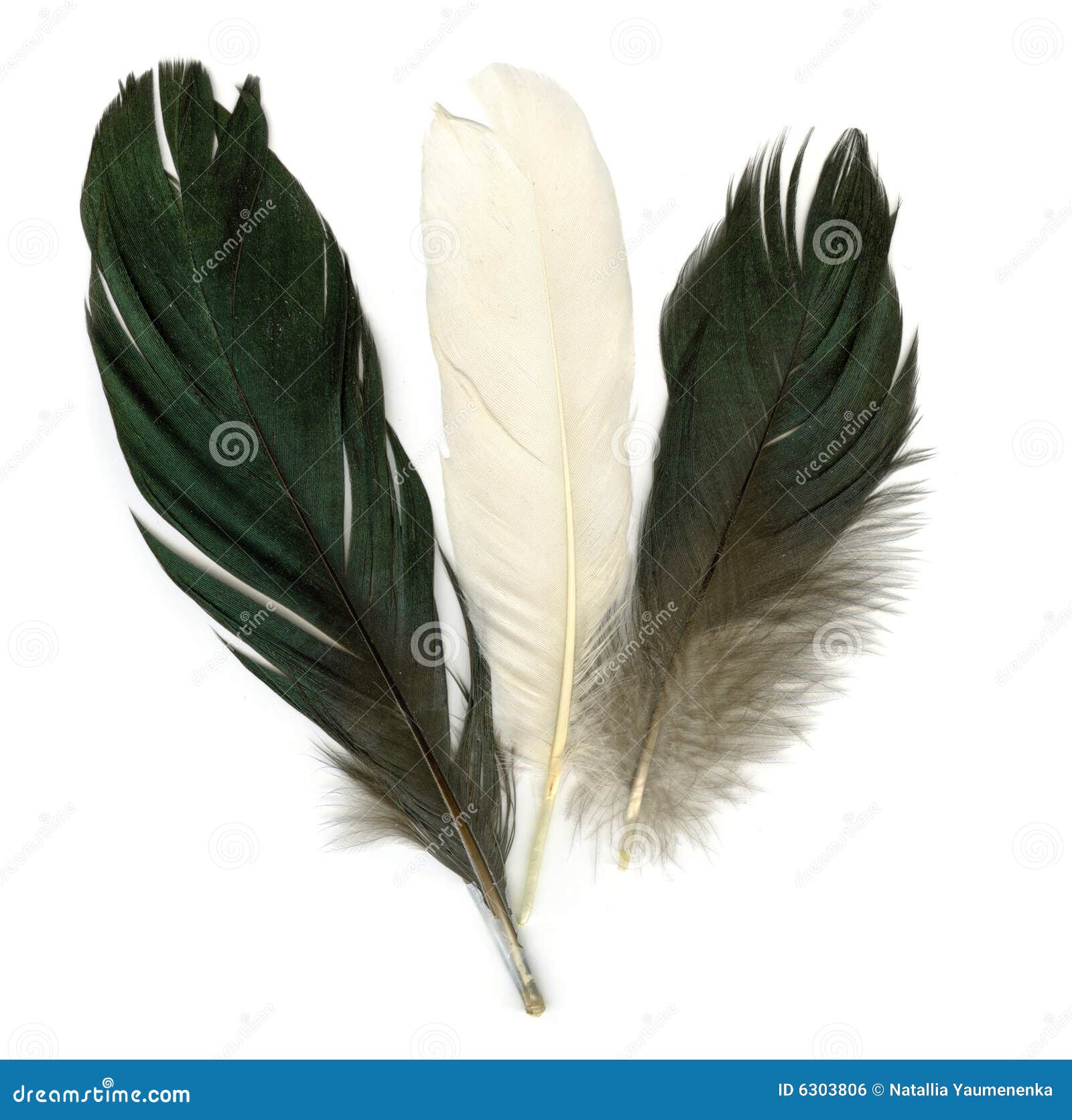 7 feathers - yesposa