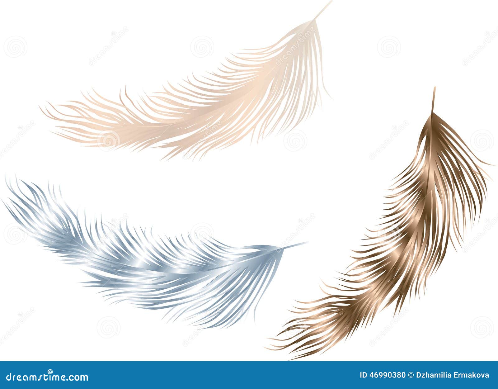 Three feathers stock vector. Illustration of object, fluffy - 46990380