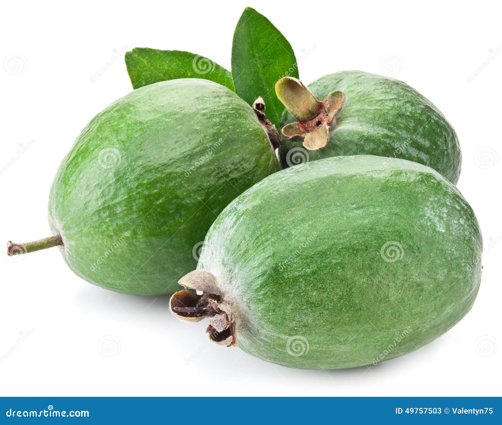 Three Feijoa Fruits with Leaves. Stock Image - Image of fruit, exotic ...