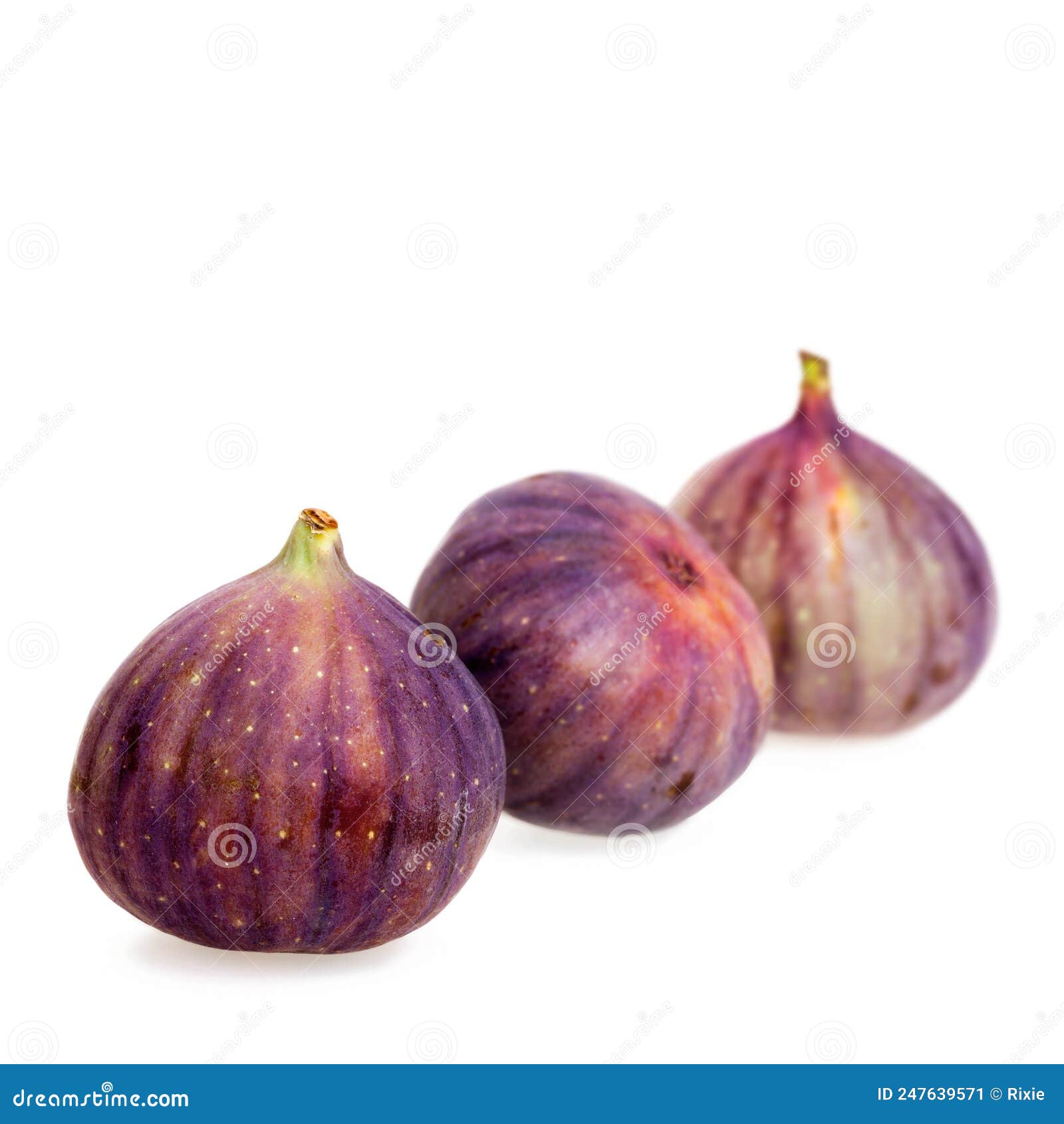 Three figs stock image. Image of delicious, eating, exotic - 247639571