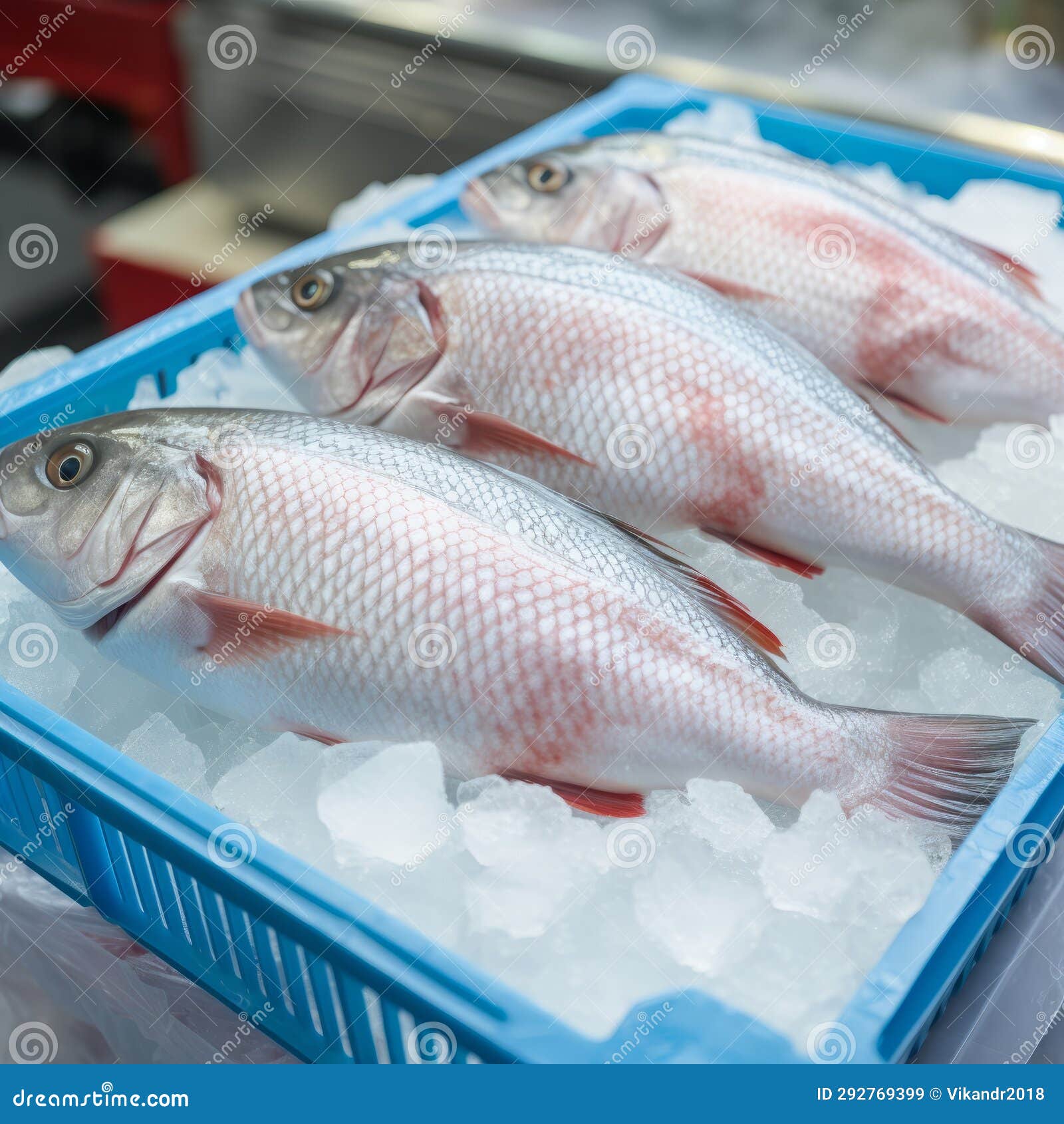 Three Fish Lying in an Ice-filled Box. Market in Thailand. Stock ...