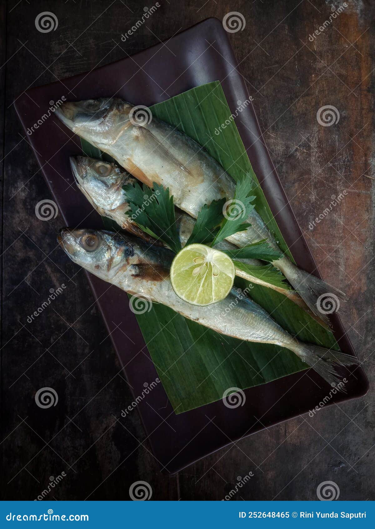 Three Fish on the Table with High Angle Stock Image - Image of leaf ...