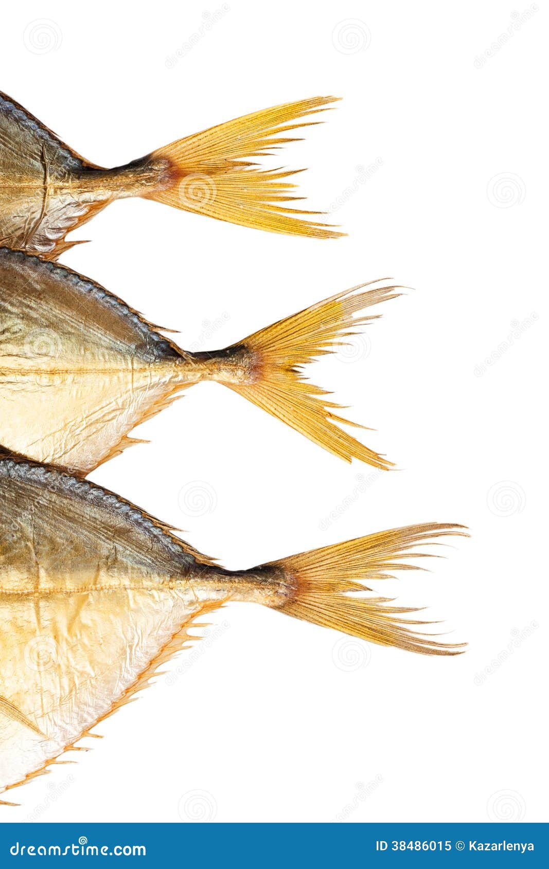 Fish Tails Stock Image | CartoonDealer.com #4505005