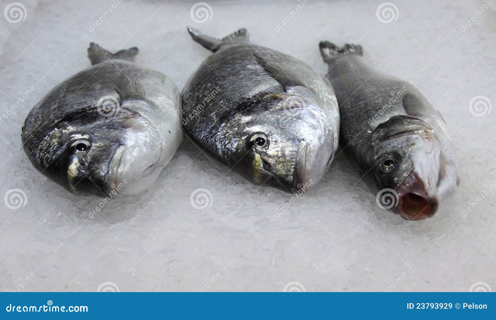 Three fishes stock image. Image of product, cooled, fresh - 23793929