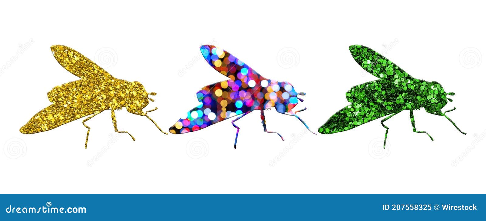 Three Flies with Different Patterns Isolated on a White Background ...