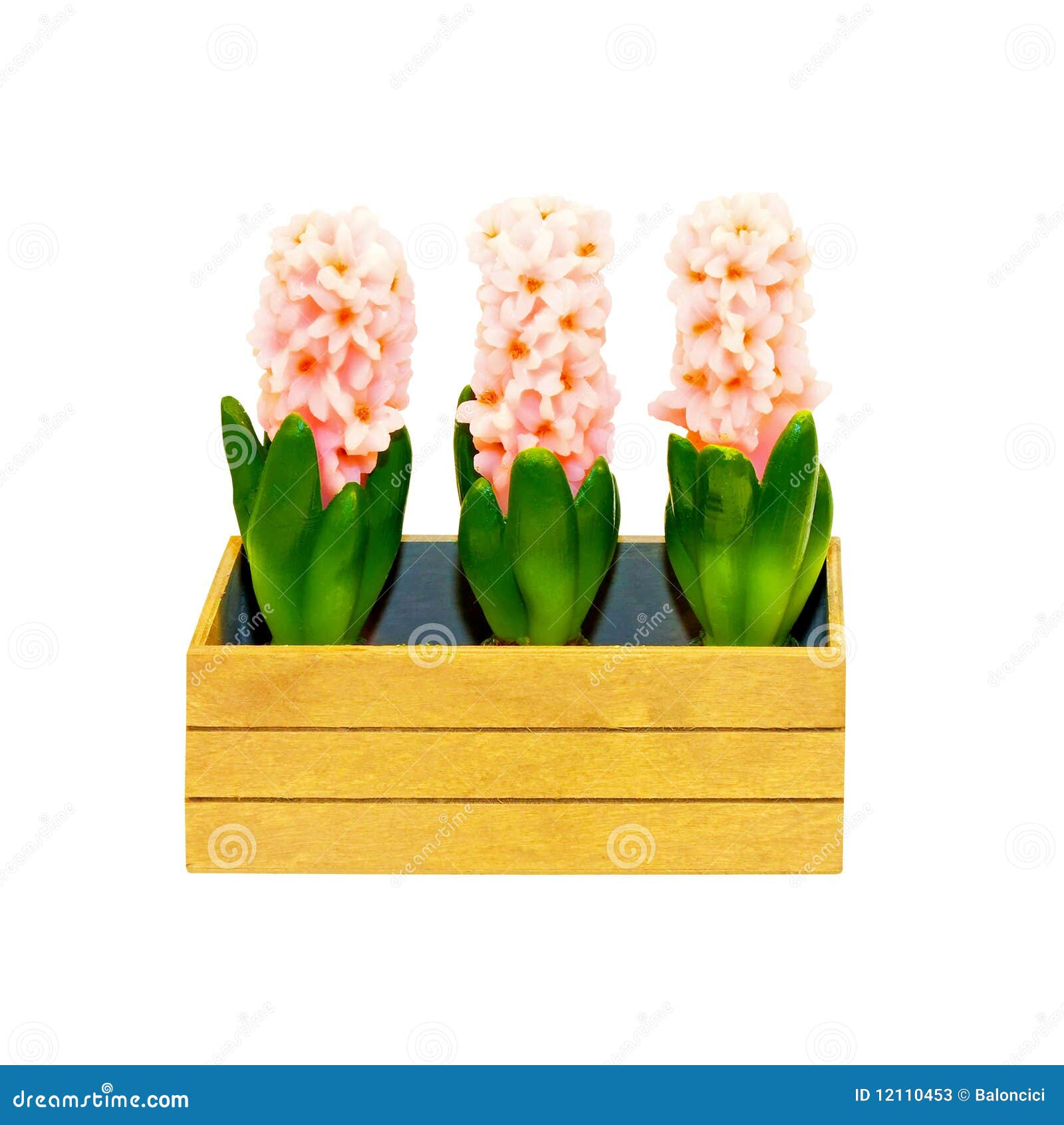 Three flowers stock image. Image of flowers, path, small - 12110453