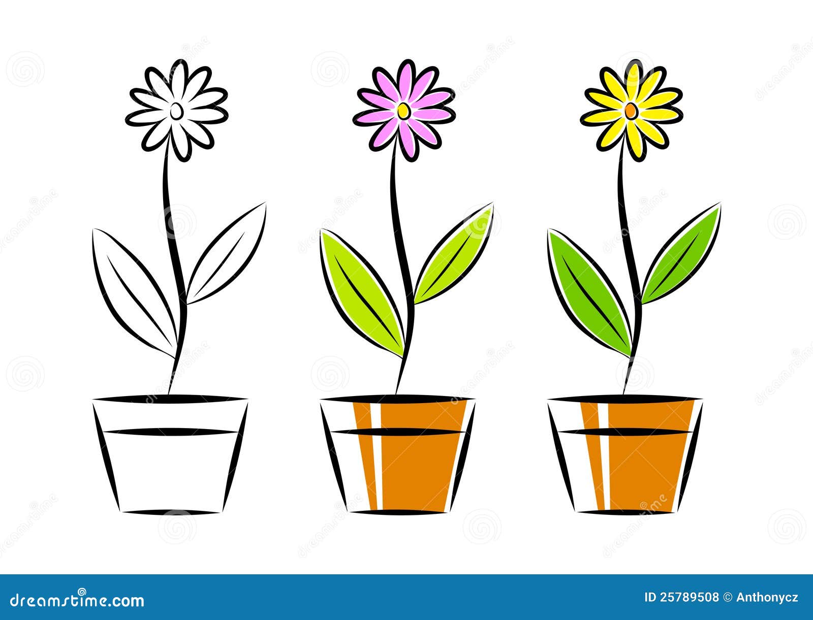 Three flowers stock vector. Illustration of botanic, grow - 25789508