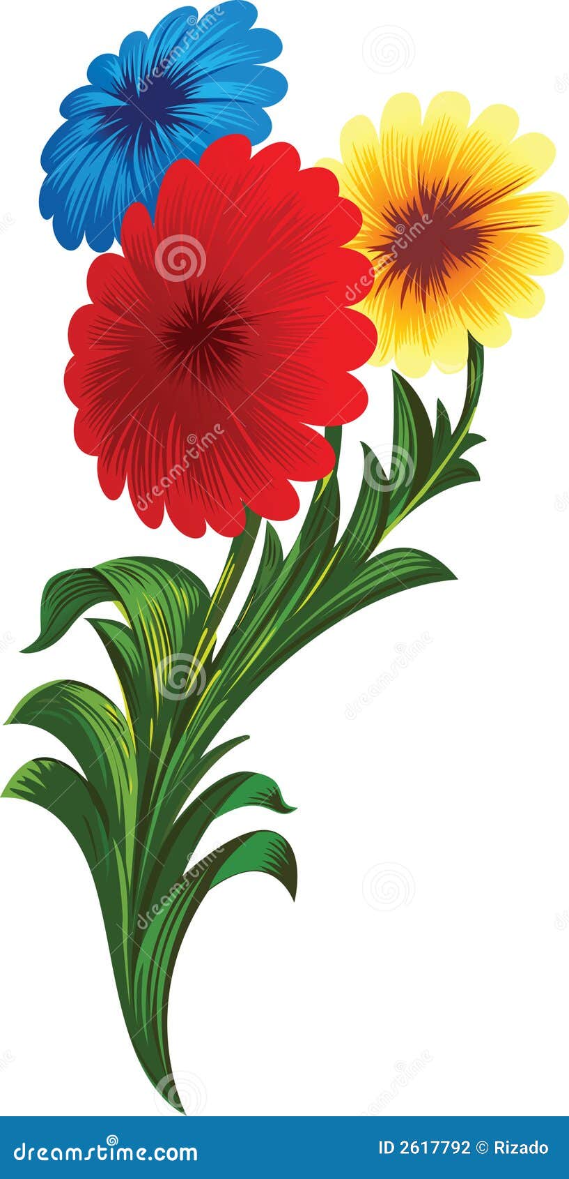 Three flowers stock vector. Illustration of graphic, floral - 2617792