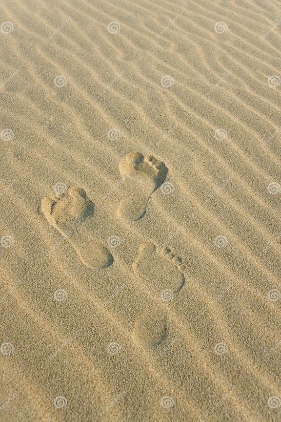 Three Footprints stock image. Image of track, backgrounds - 5994631