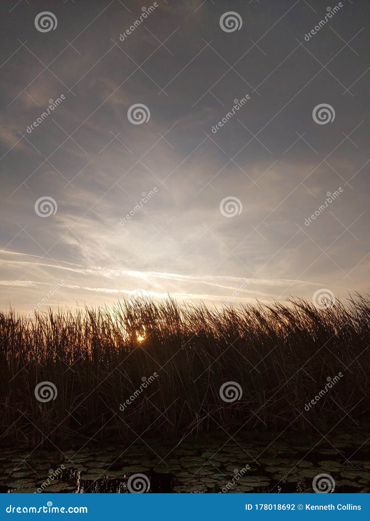 Three Forks Marsh Quarantine Sunset Stock Photo - Image of morning ...