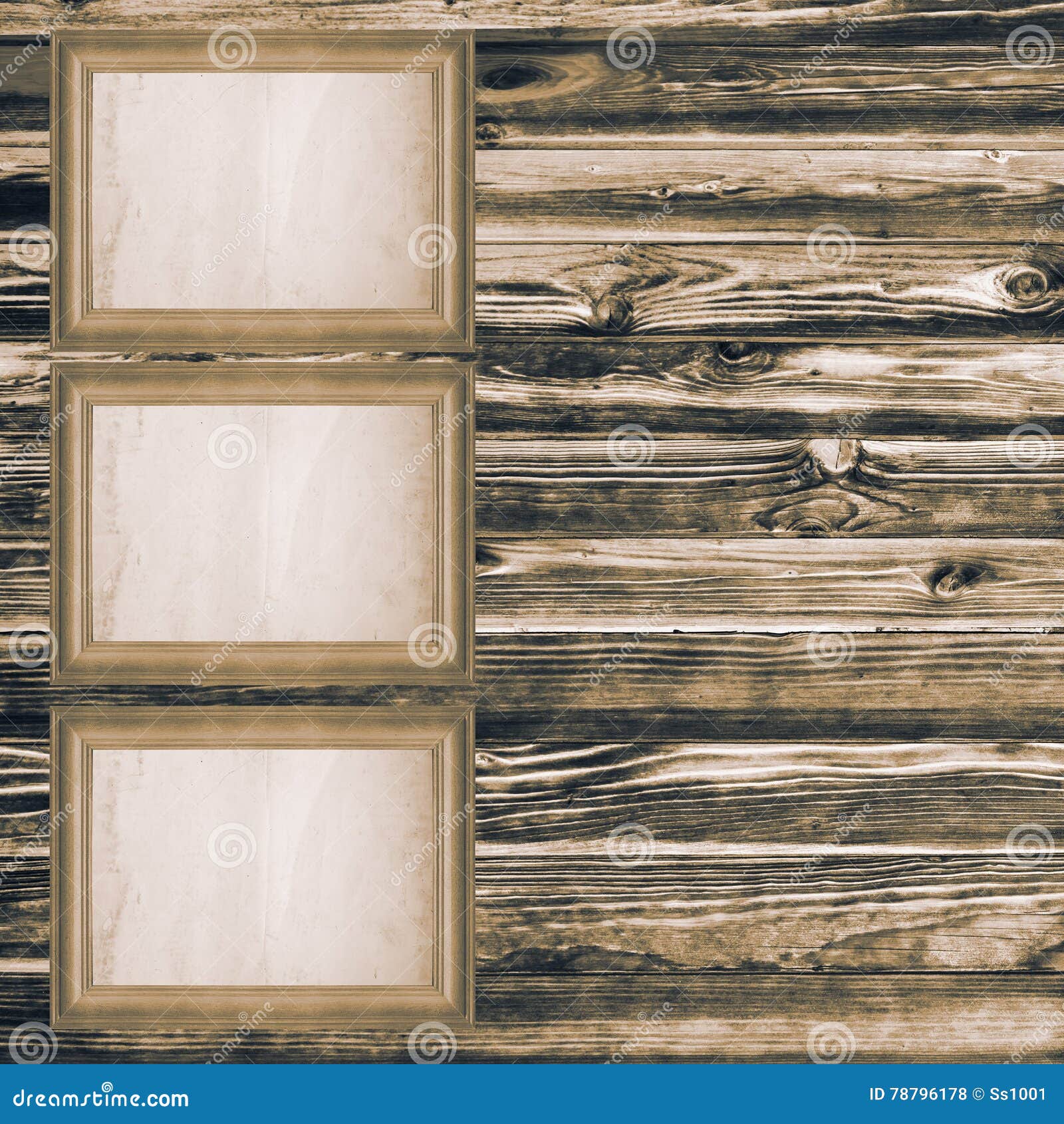 Three frames stock photo. Image of panel, plank, portrait - 78796178