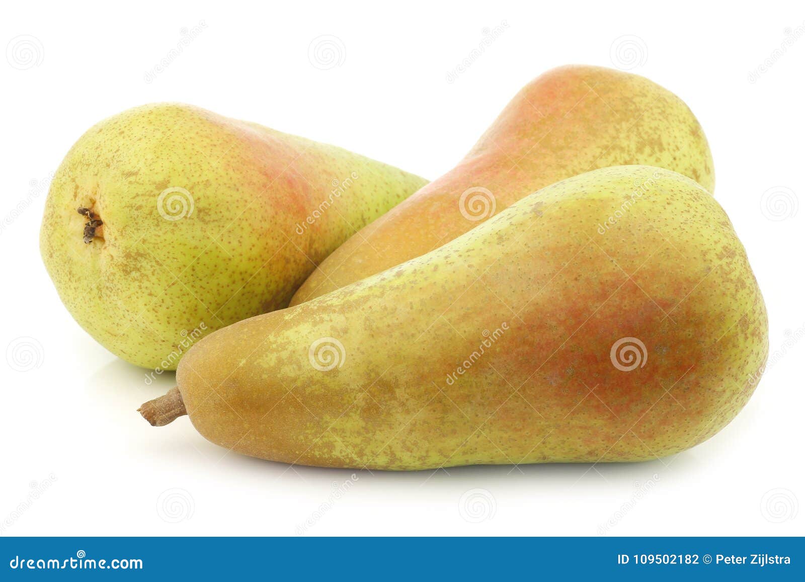 Three fresh abate pears stock photo. Image of three - 109502182