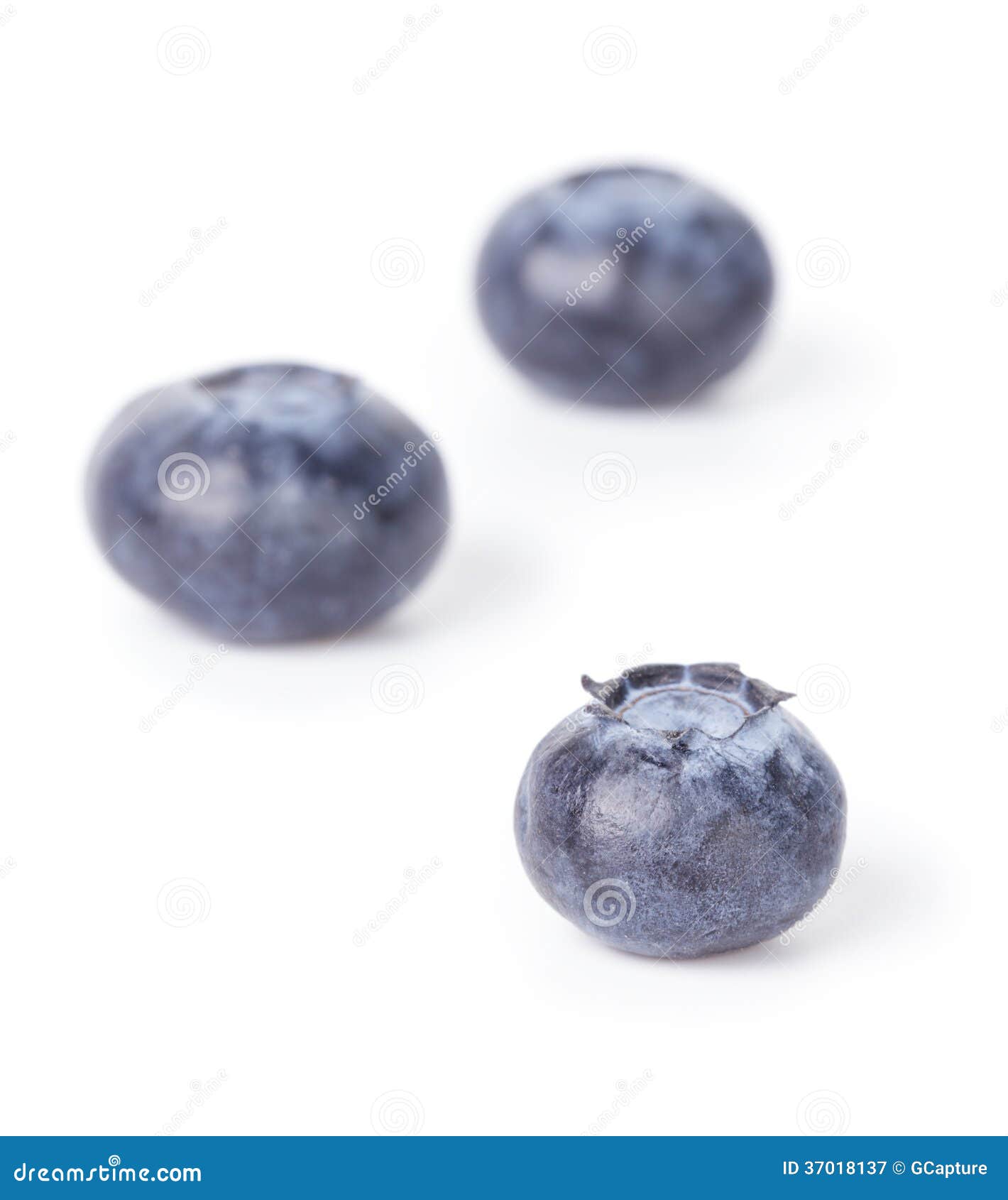 Three fresh blueberries stock image. Image of ingredient - 37018137