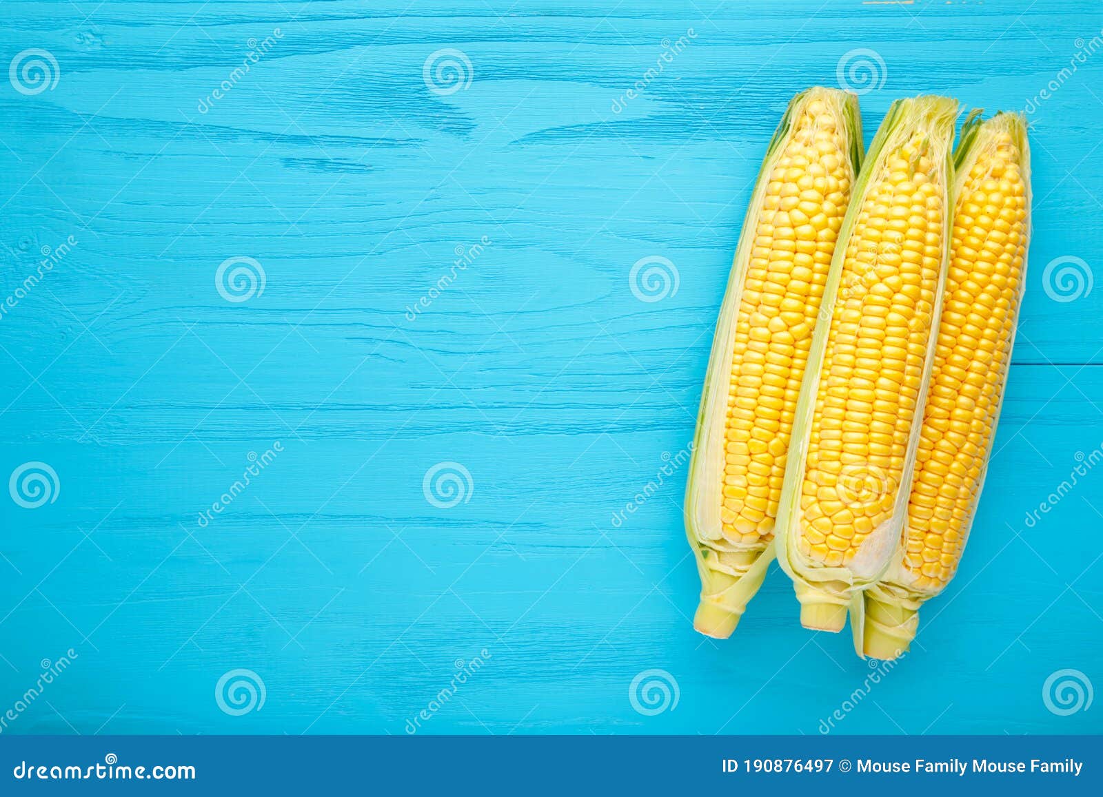 Three Fresh Corn on Blue Background with Copy Space Stock Image - Image ...