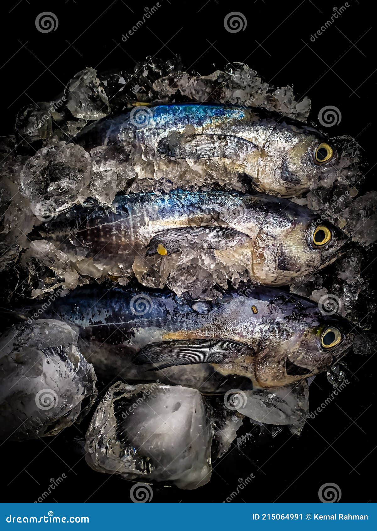 Three Fresh Fish Ready To Be Cooked Stock Image - Image of wildlife ...