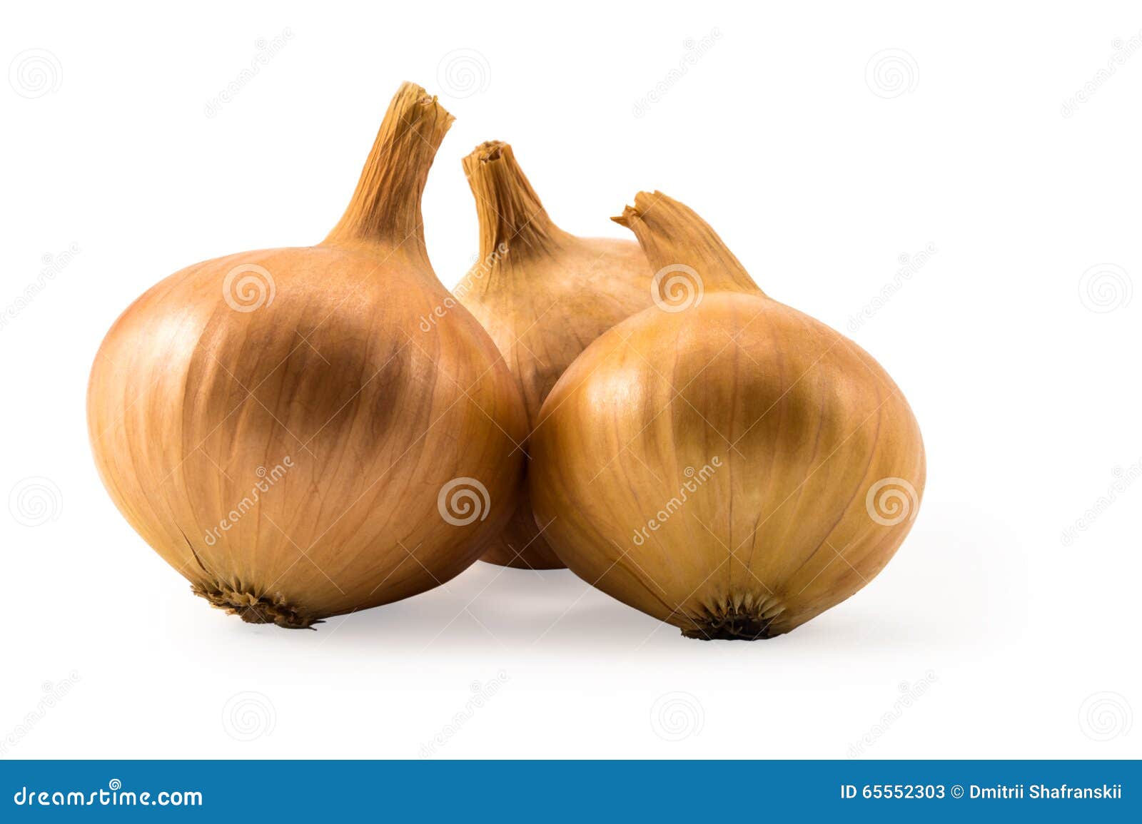 Three Fresh Gold Onions Isolated on White Stock Image - Image of nature ...
