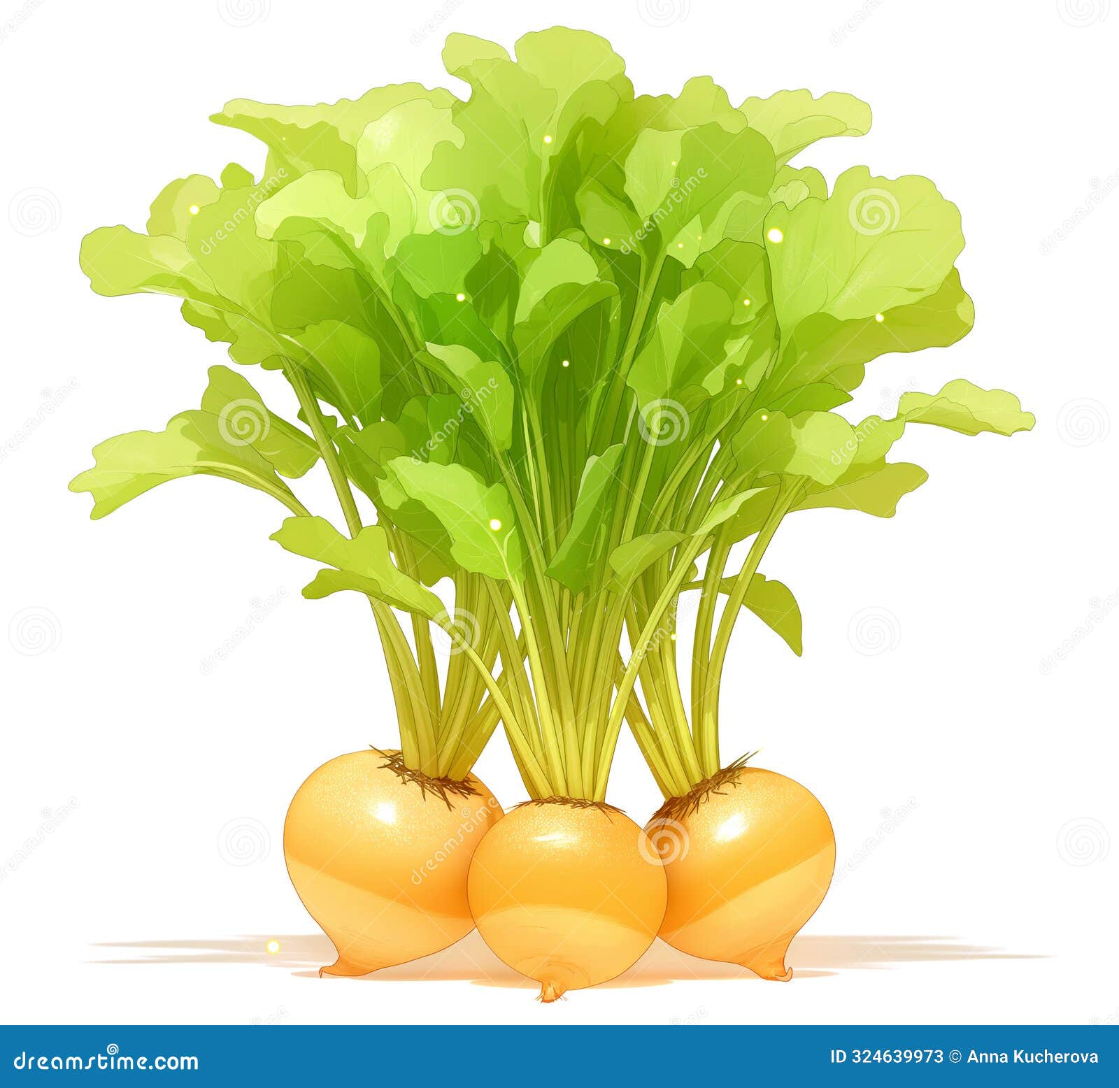 Three Fresh Golden Turnips with Green Leaves, Illustration on a White ...