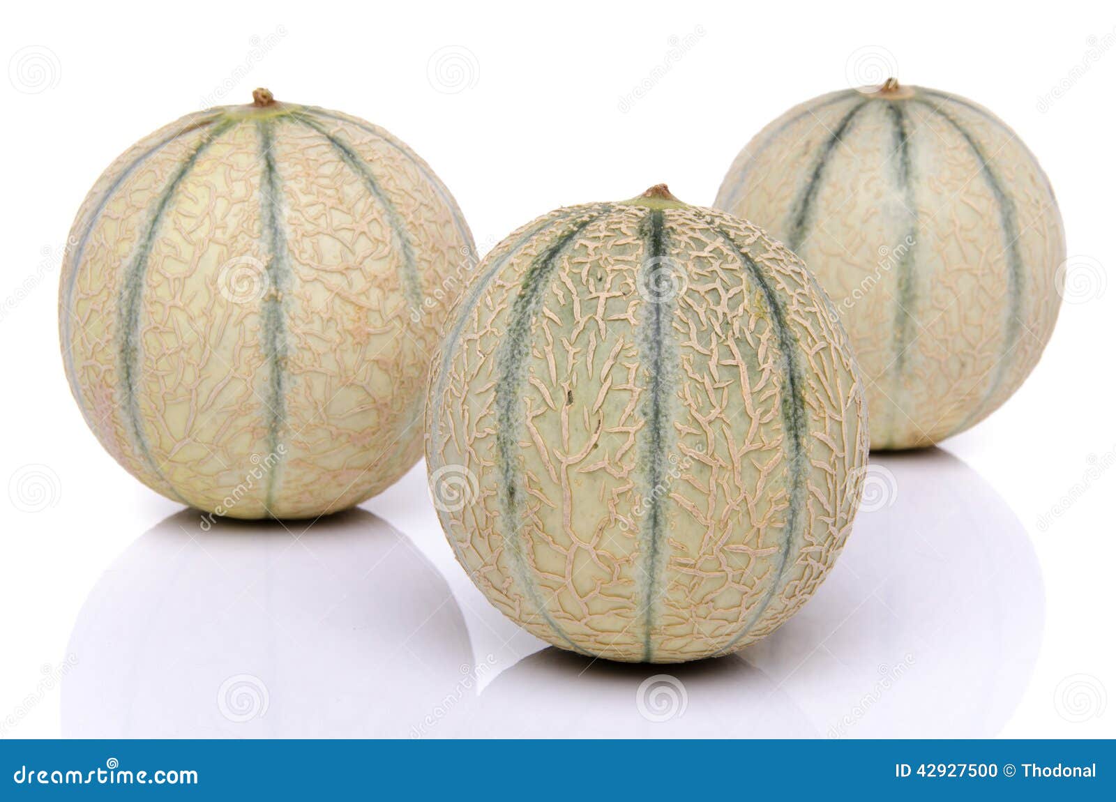 Three fresh melons stock photo. Image of nutrition, green - 42927500