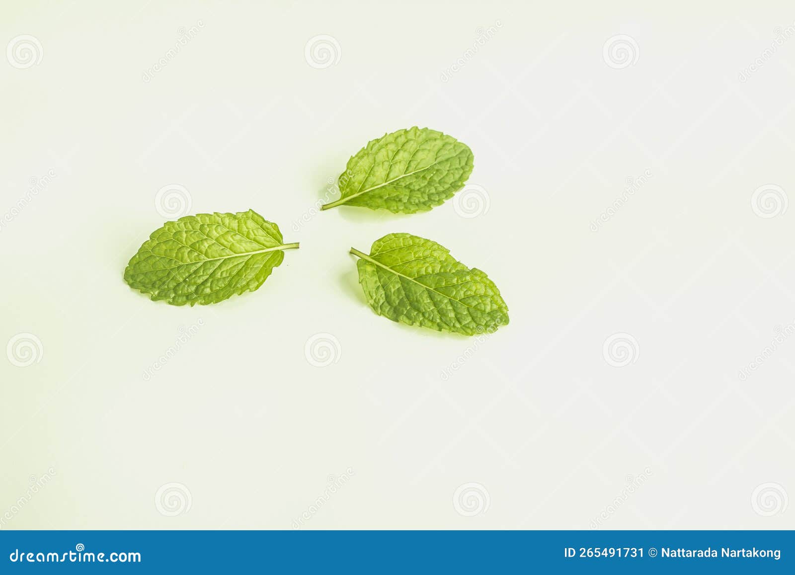 Three Fresh Mints Isolated on White Stock Image - Image of food, light ...