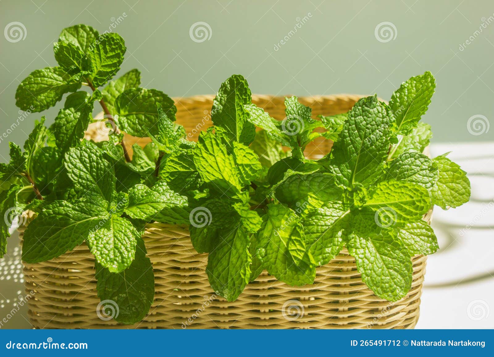 Three Fresh Mints Isolated on White Stock Photo - Image of fragrant ...