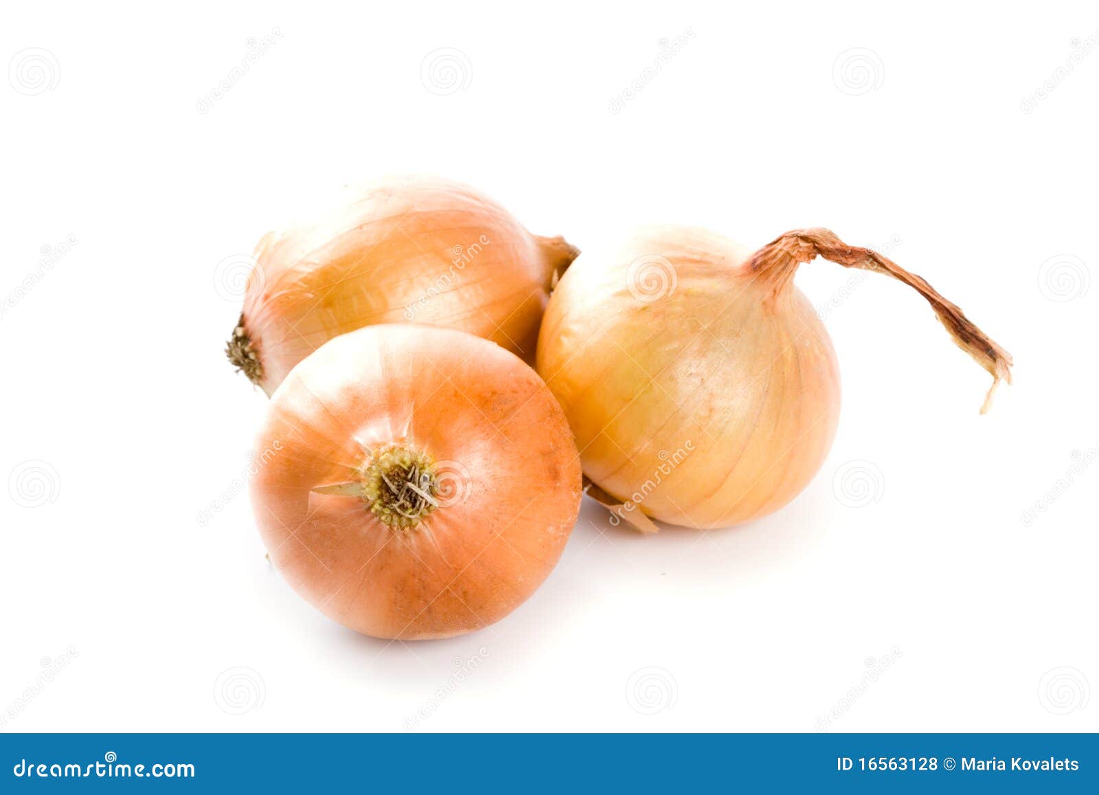 Three fresh onions stock photo. Image of ingredient, bulbs - 16563128