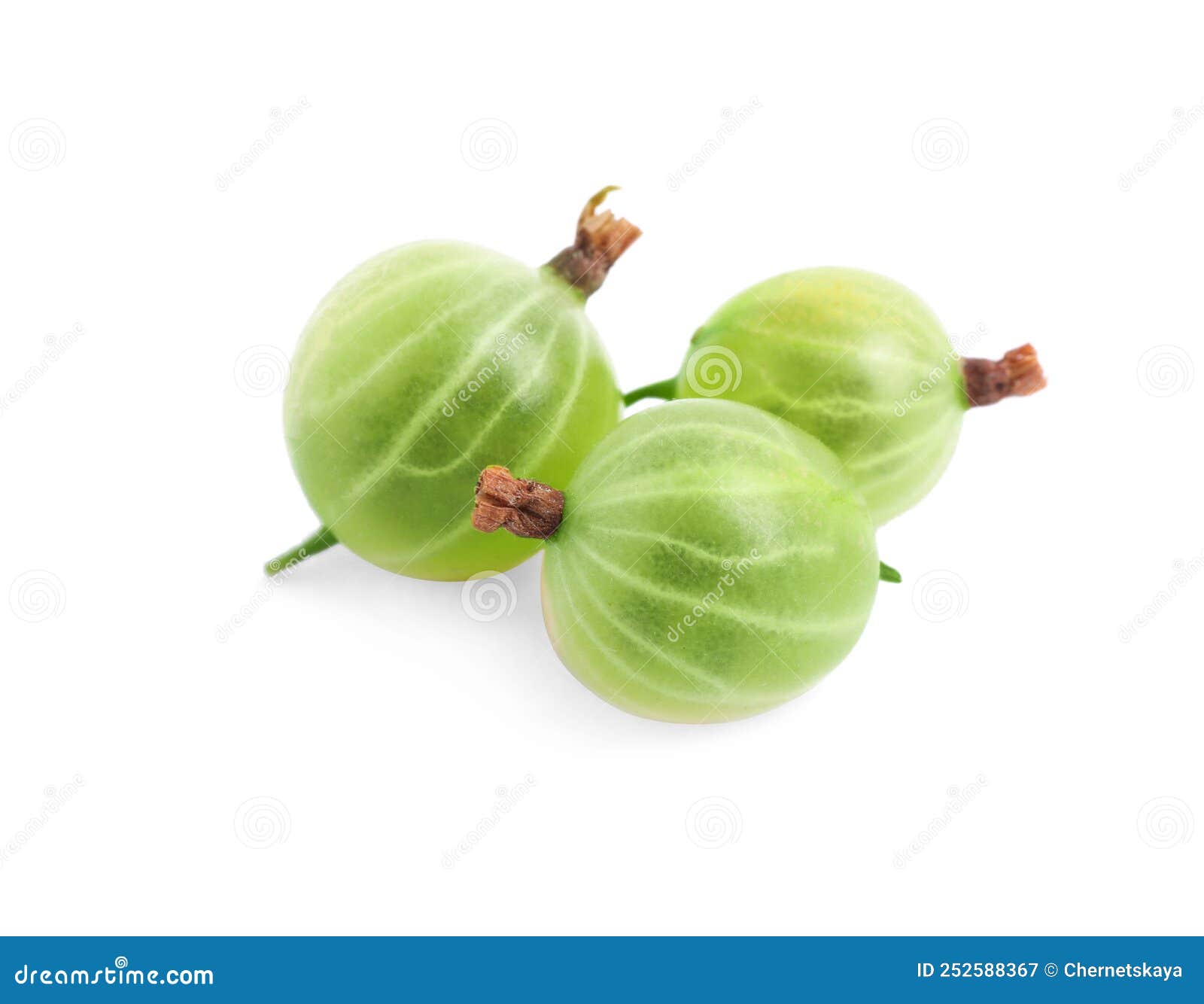 Three Fresh Ripe Gooseberries Isolated on White Stock Image - Image of ...