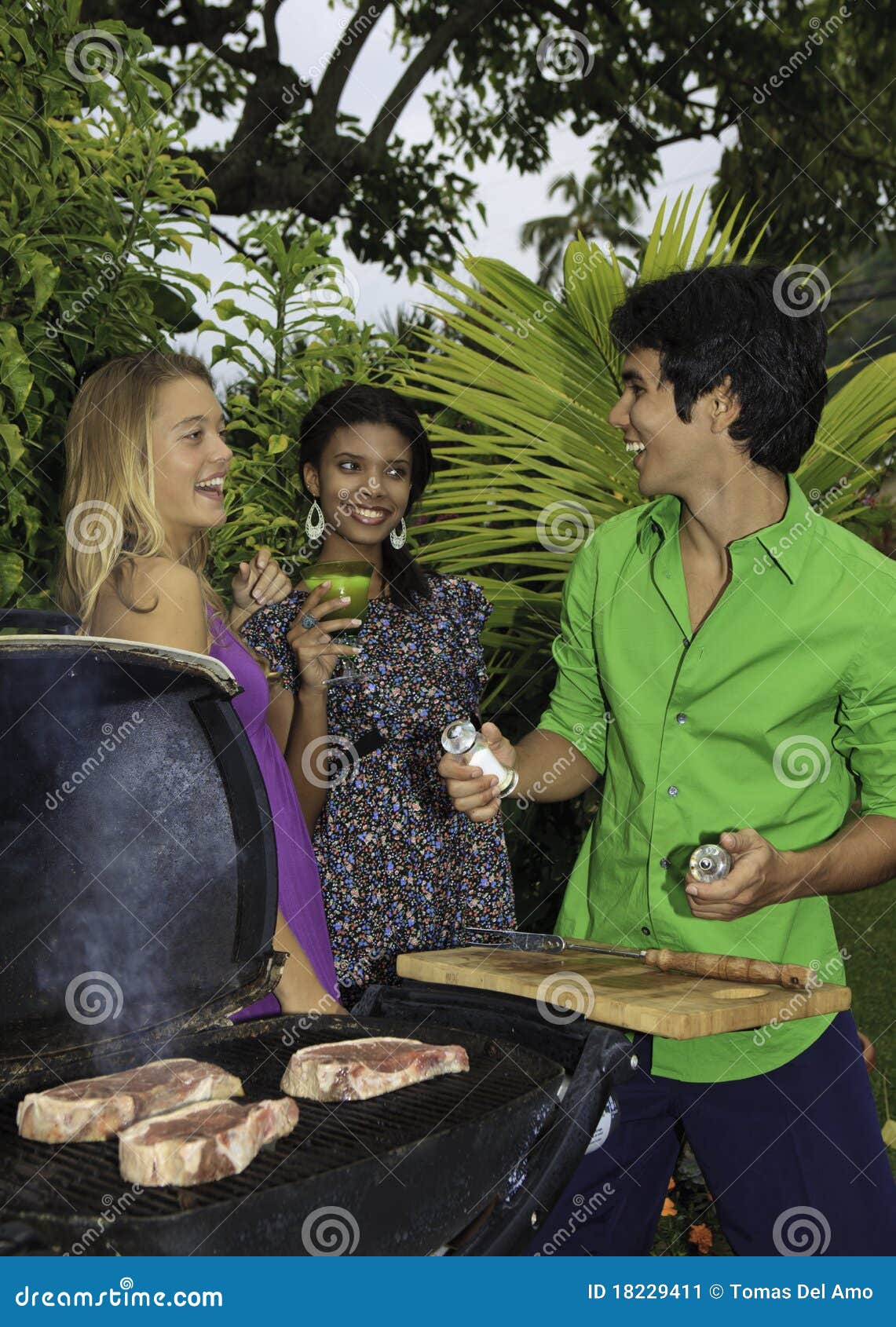 Three Friends at a Barbecue Stock Image - Image of three, plants: 18229411