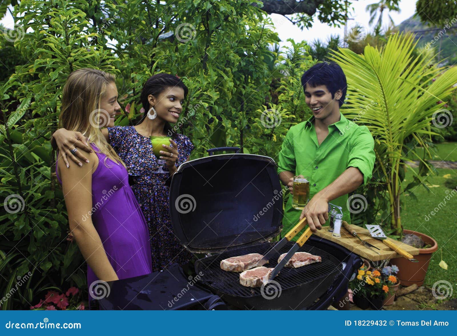 Three Friends at a Barbecue Stock Photo - Image of three, meal: 18229432