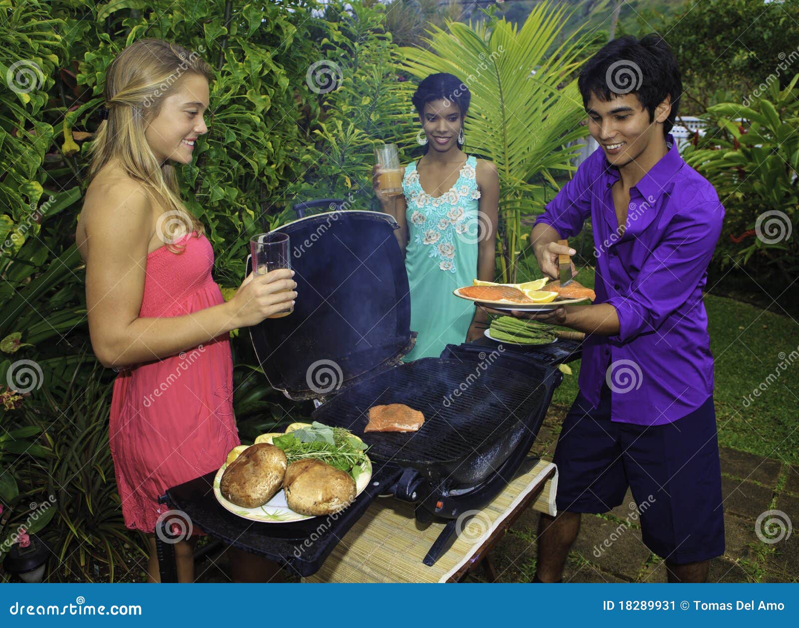 Three Friends at a Barbecue Stock Image - Image of girl, grill: 18289931