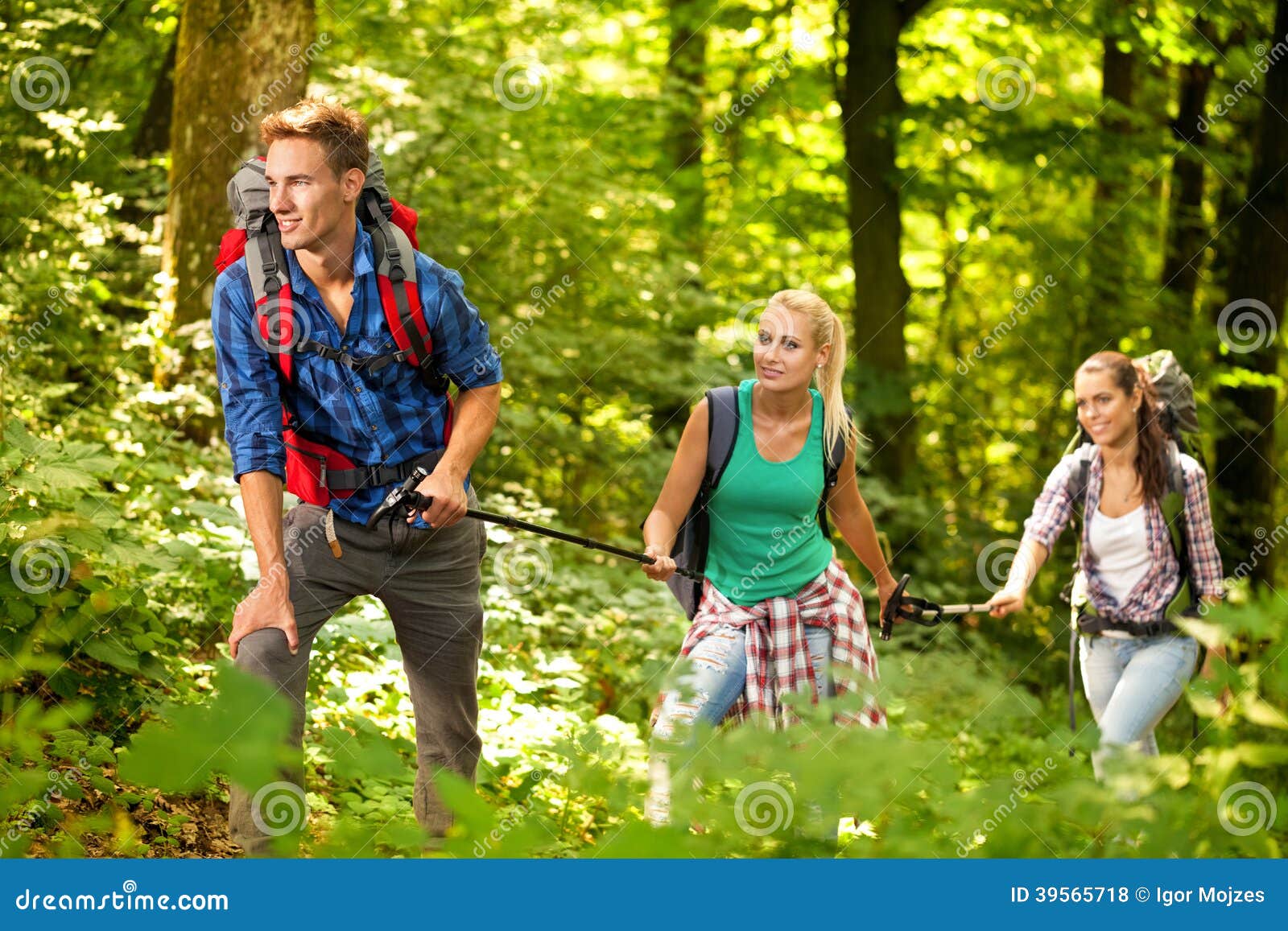 Three Friends Hiking through the Forest Stock Photo - Image of friends ... Three Friends Hiking through the Forest Stock Photo - Image of friends ...