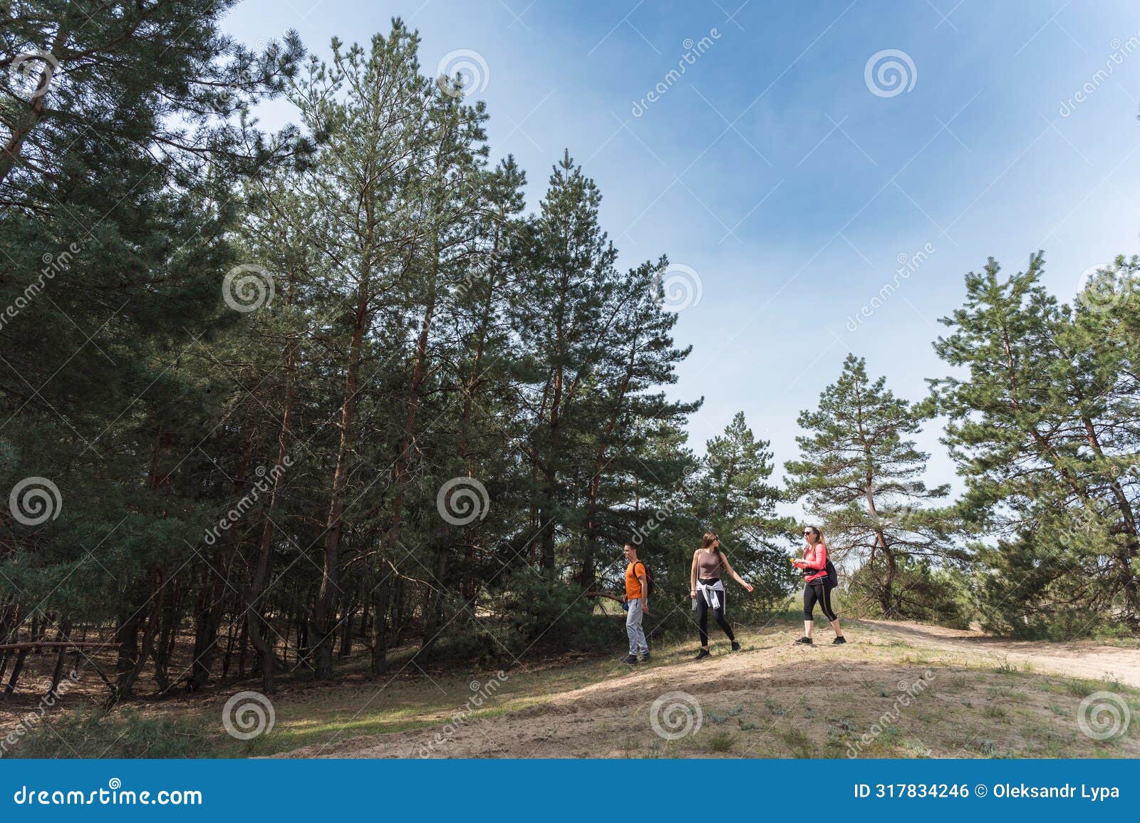 Three Friends are Walking in the Forest Stock Photo - Image of outdoor ...