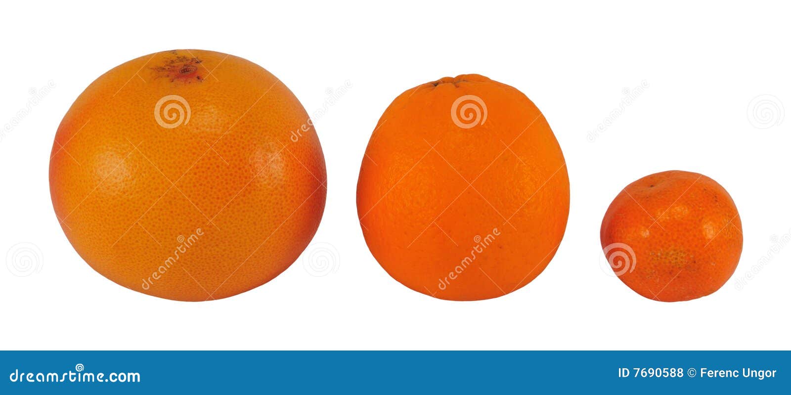 Three fruits stock photo. Image of food, diet, plant, mandarine - 7690588