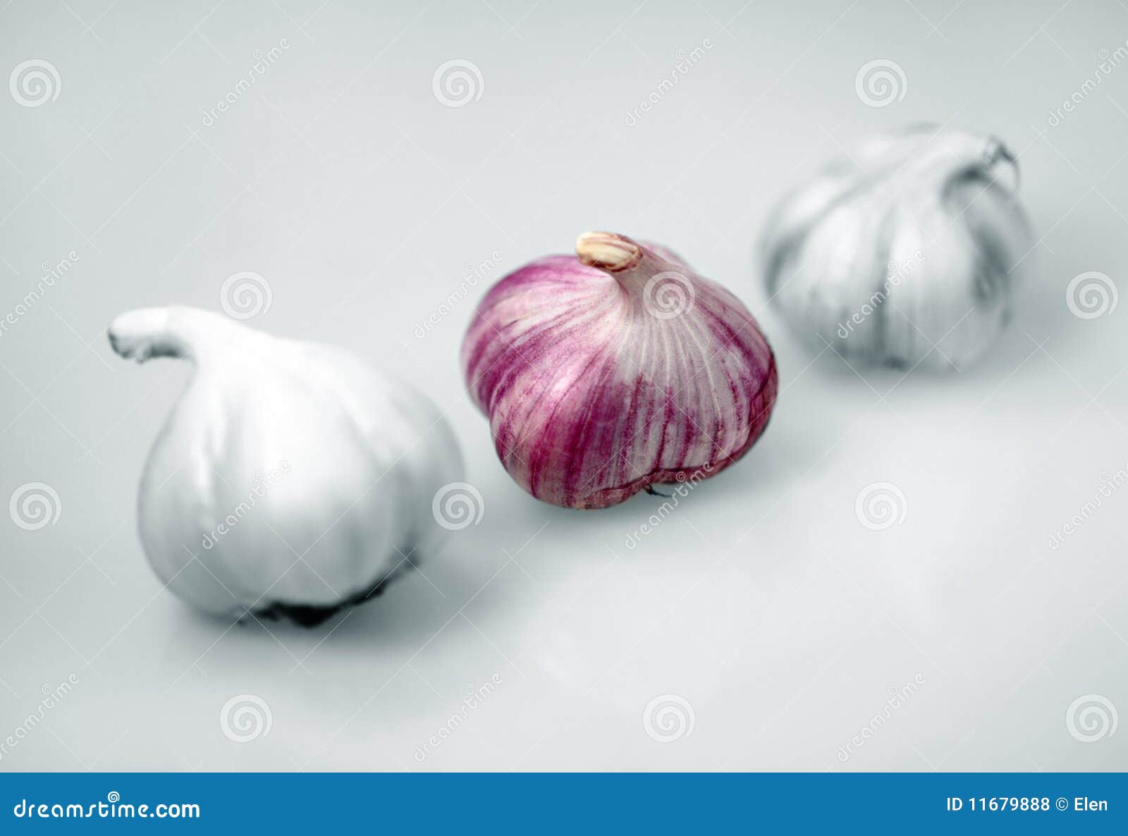 Three Garlic stock photo. Image of ingredient, meal, nature - 11679888