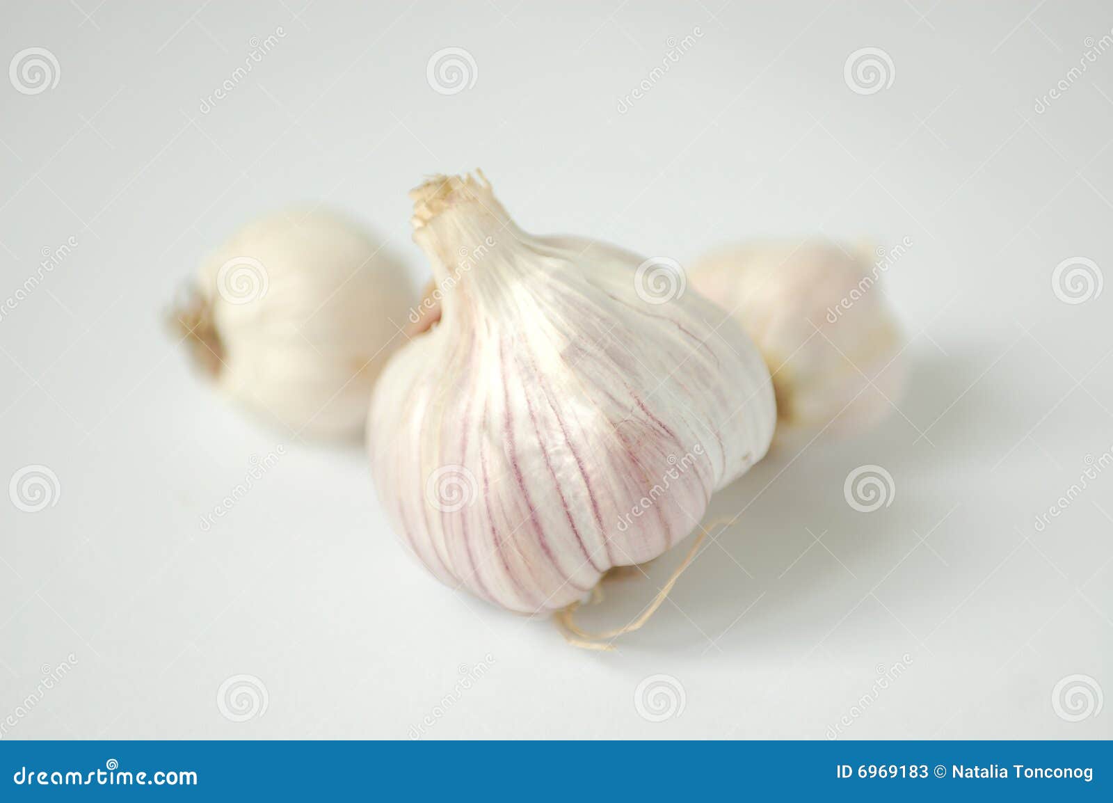 Three garlic stock image. Image of culinaryi, garlic, sauce - 6969183