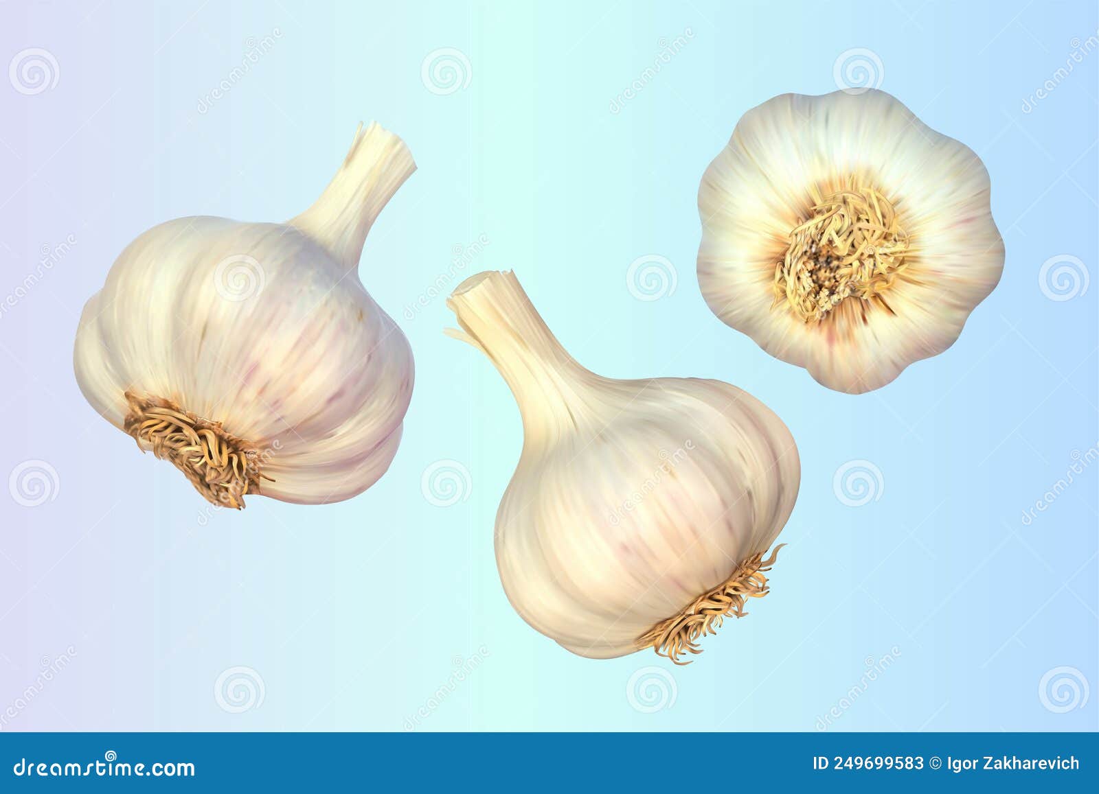 Three Garlic Cloves Isolated On White Background. Raw Garlic Pieces Top ...