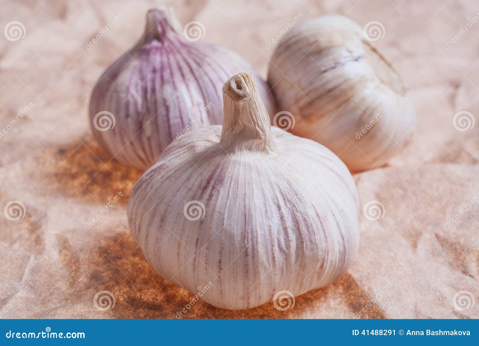 Three garlic on paper stock image. Image of gourmet, smell - 41488291