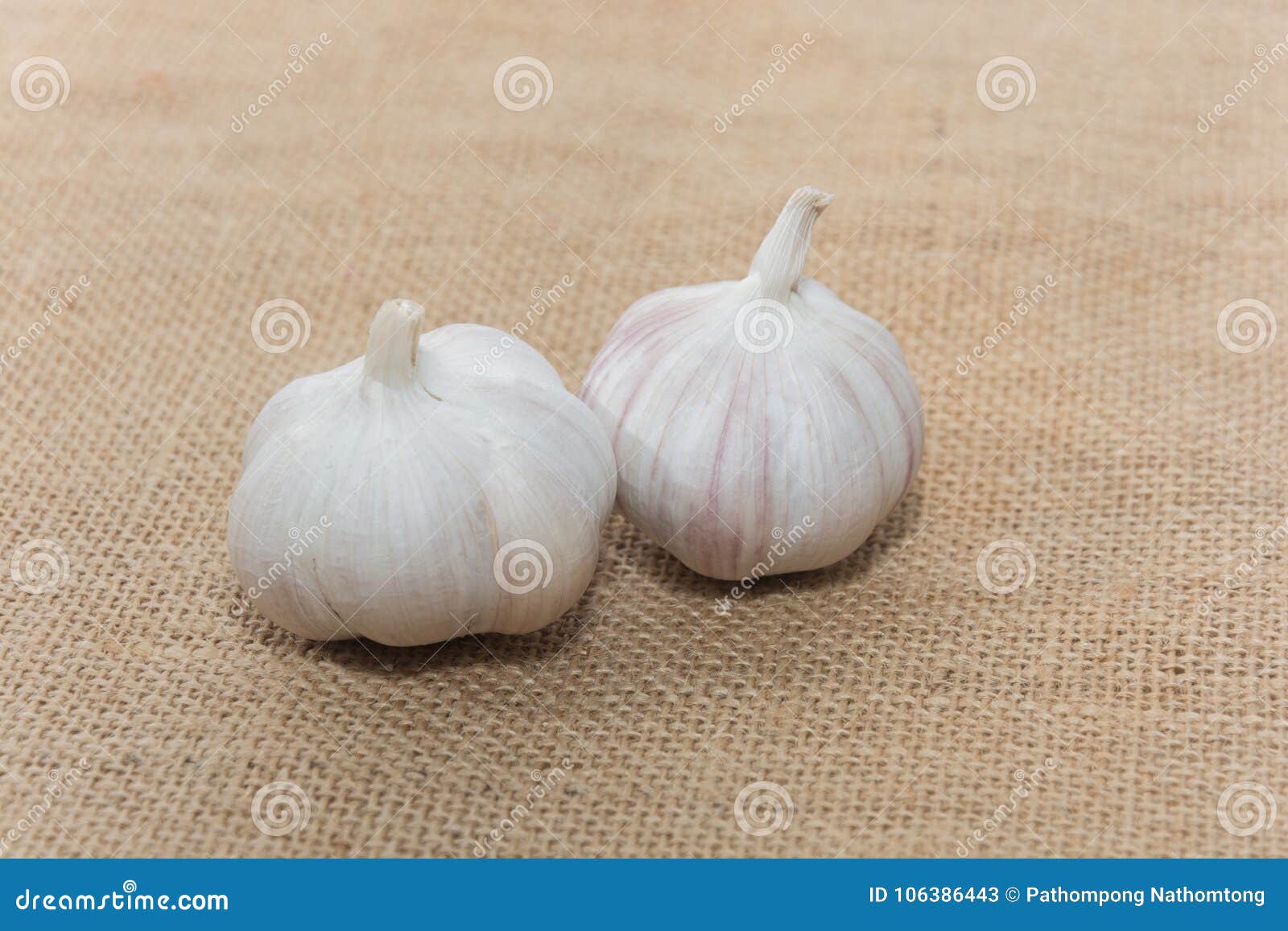 Three garlic on sack stock image. Image of garlic, background - 106386443