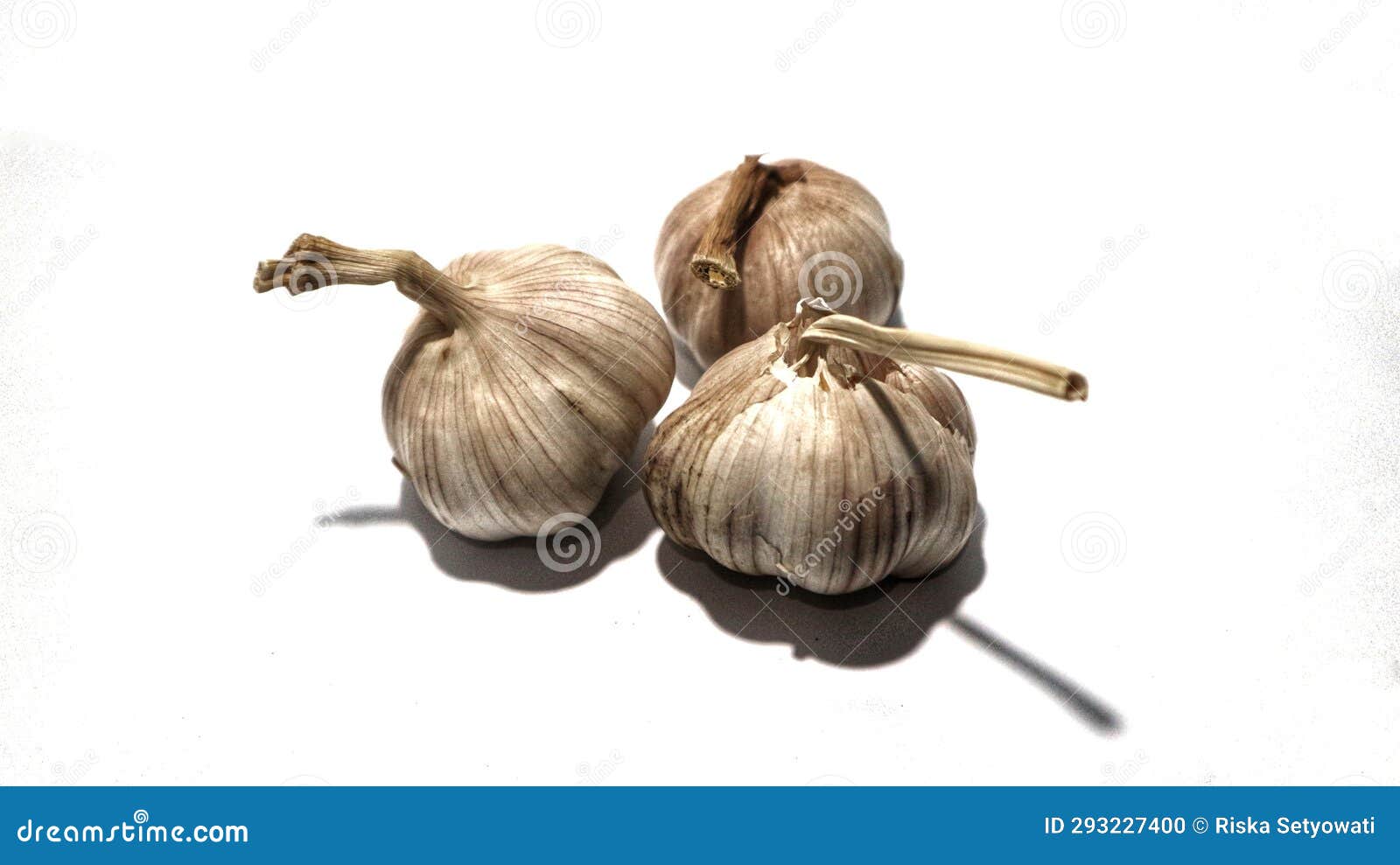 Three Garlic on White Background Stock Photo - Image of organ, wood ...