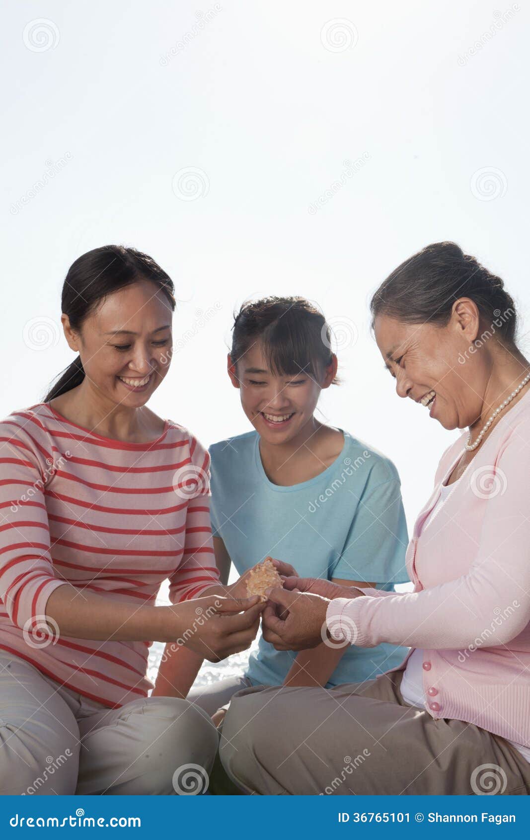 Three Generations Looking at Seashell, China Stock Image - Image of ...