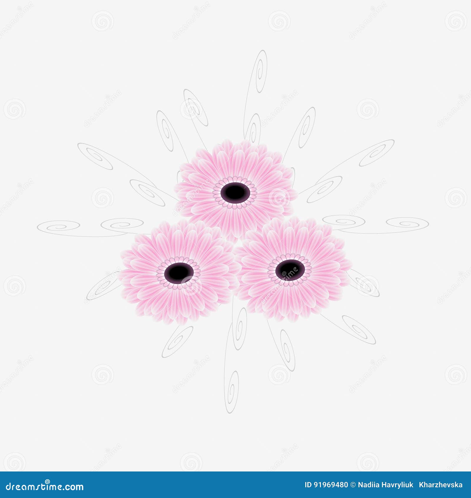 Three Gerberas, Design Element. Stock Vector - Illustration of blossom ...