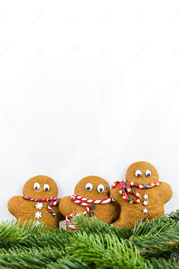 Three Gingerbread Men on Pine Branches Stock Photo - Image of festive ...
