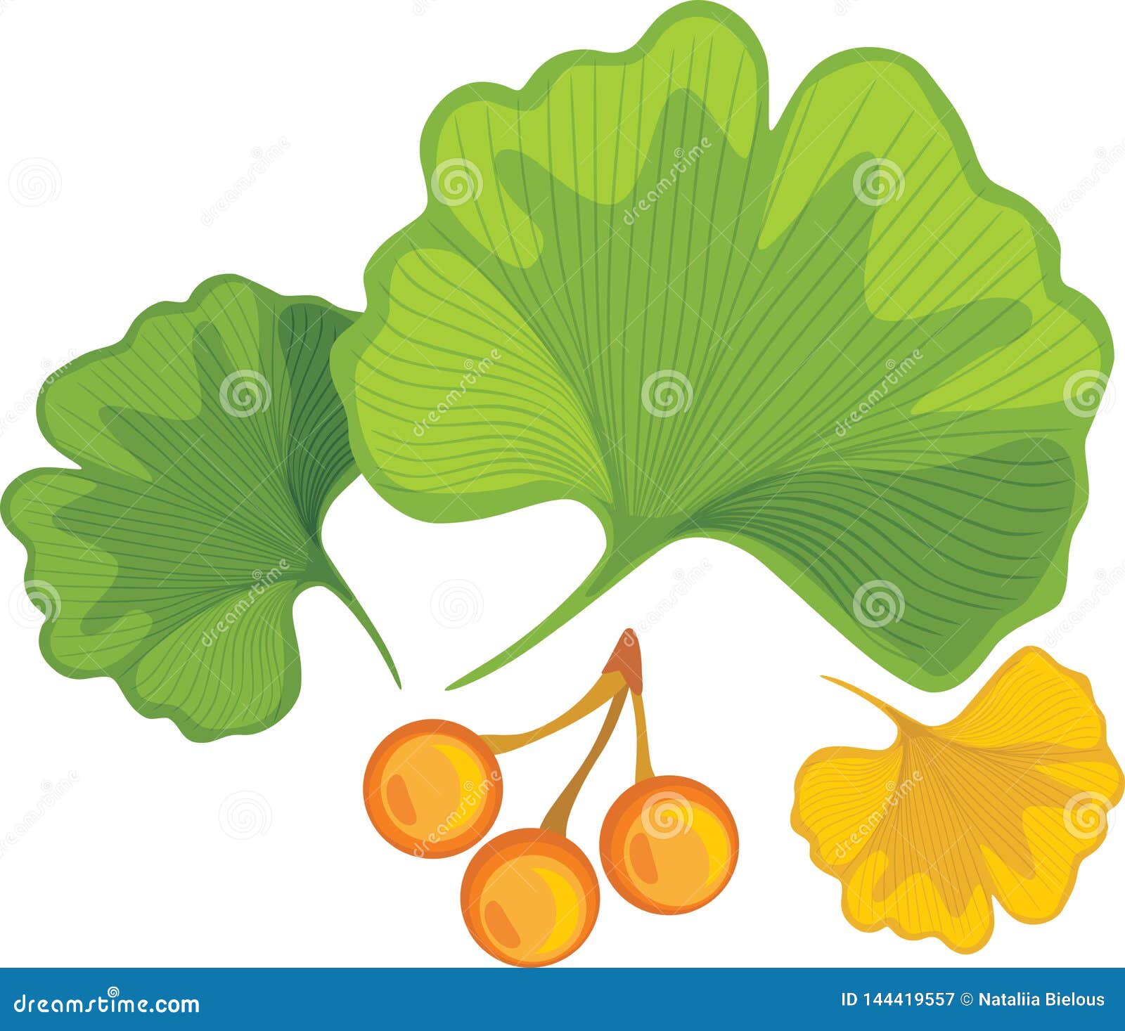 Growing Nuts Isolated Cartoon Vector Illustrations. | CartoonDealer.com ...