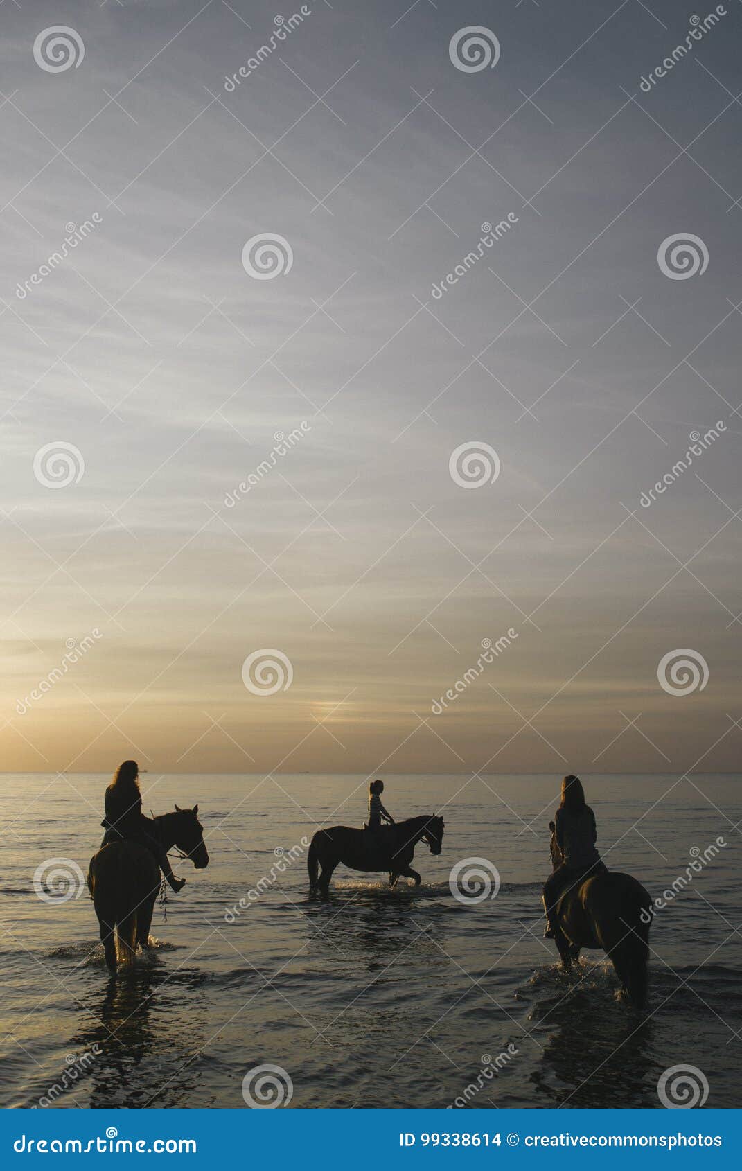 THREE GIRLS RIDING HORSES Picture. Image: 99338614