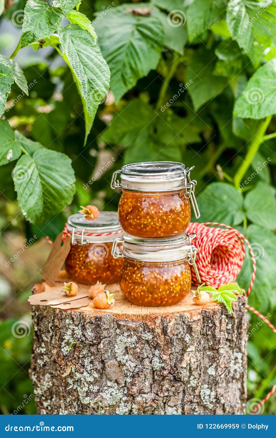 Golden Raspberry Jam stock image. Image of fresh, golden - 122669959