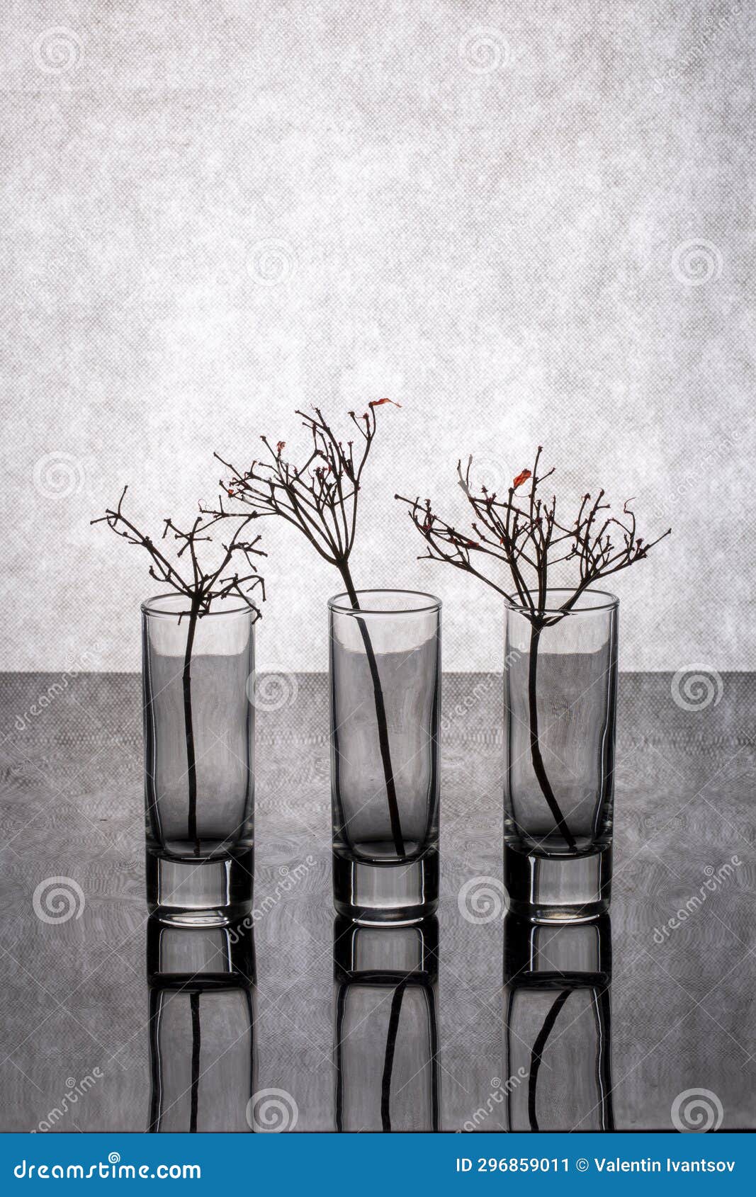 Three Glasses with Twigs of the Plant Stock Illustration - Illustration ...